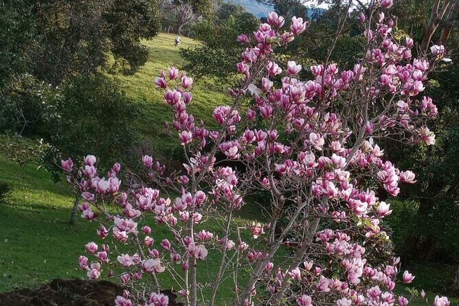 Cooking Classes on Witta Maleny Sunshine Coast - Introduction
