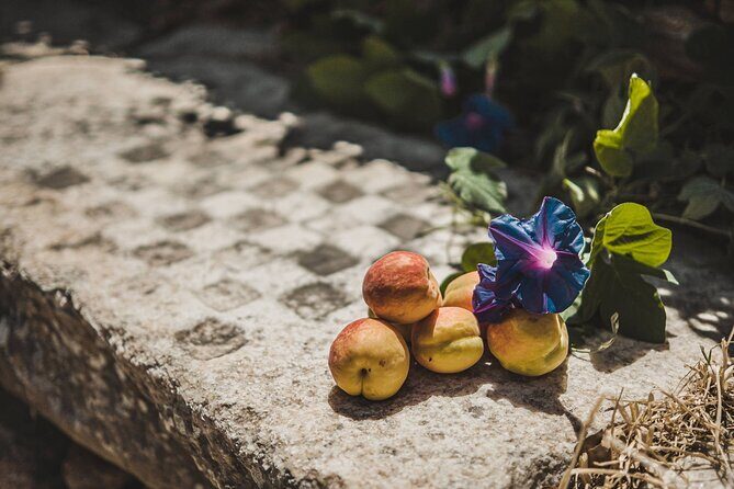 Cooking Experience Live Music and Traditional Dance in Naxos - Final Thoughts