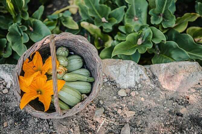 Cooking Experience Live Music and Traditional Dance in Naxos - FAQs