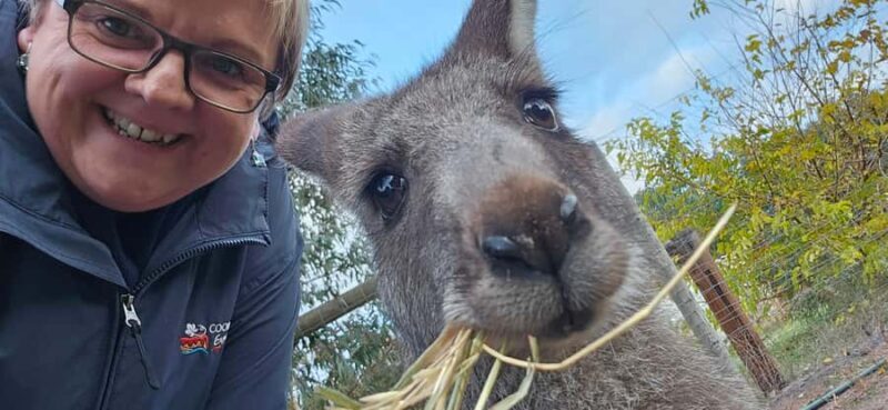 Coonawarra: Caves, Cabernet, & Kangaroos Day Tour & Lunch - Key Points