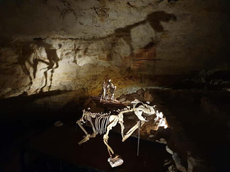 Coonawarra: Caves, Cabernet, & Kangaroos Day Tour & Lunch - What We Loved & What to Consider