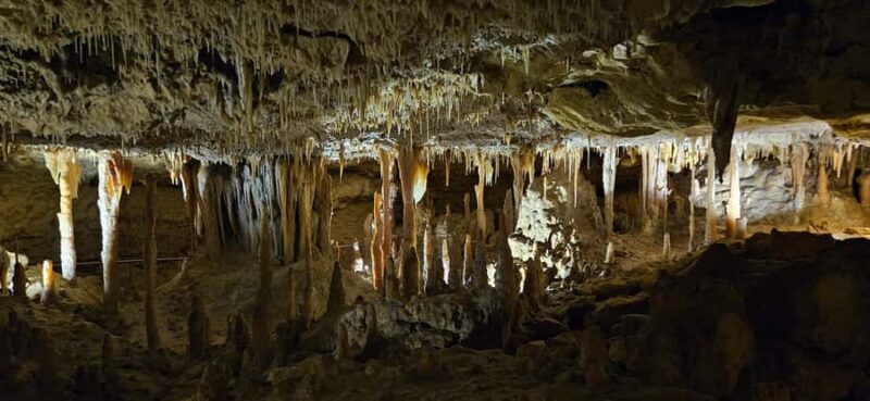 Coonawarra: Caves, Cabernet, & Kangaroos Day Tour & Lunch - Who Should Consider This Tour?