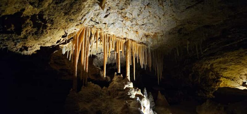 Coonawarra: Caves, Cabernet, & Kangaroos Day Tour & Lunch - FAQ