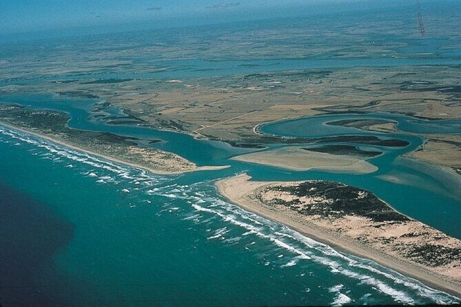 Coorong 3 & 1/2 Lunch Cruise and Tour - Exploring South Australia: What to Expect on the Tour