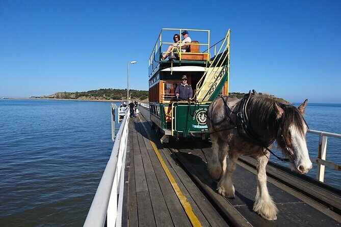 Coorong 3 & 1/2 Lunch Cruise and Tour - Final Thoughts