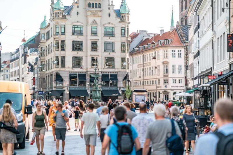 Copenhagen City & Christiansborg Palace Private Walking Tour - The Sum Up