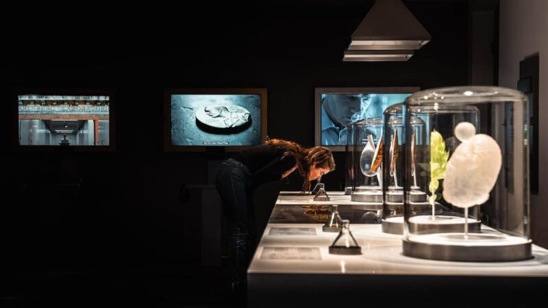 Copenhagen: Home of Carlsberg Experience Entry Ticket - Final Thoughts