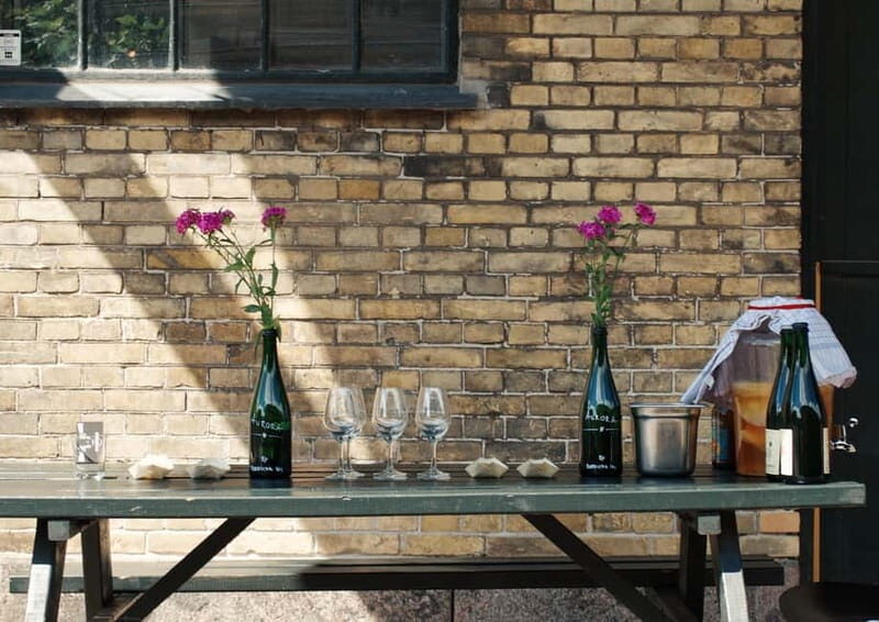 Copenhagen: Locally Brewed Kombucha Tasting Experience - Key Points