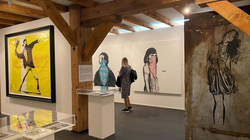 Copenhagen: MACA Museum: Banksy & Street Art Entry Ticket - Key Points