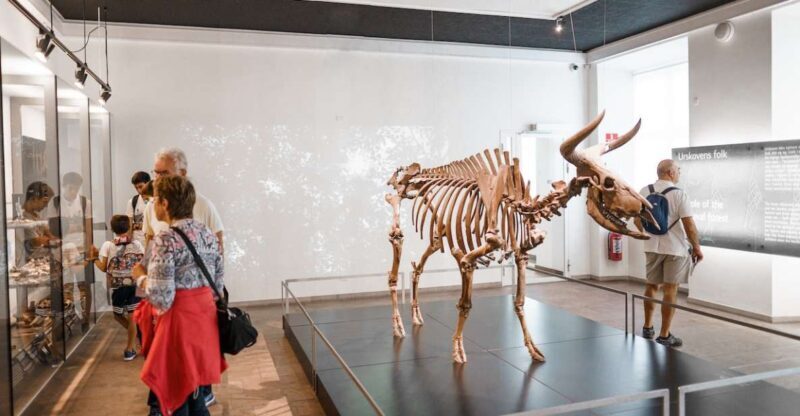 Copenhagen: National Museum of Denmark Entry Ticket - Final Thoughts