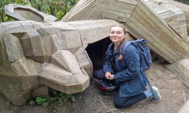 Copenhagen: Private Forgotten Giants E-Bike Treasure Hunt - Key Points