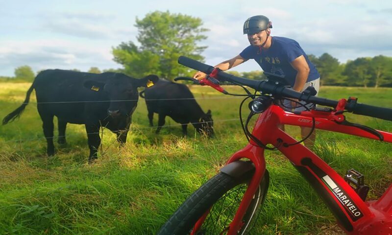 Copenhagen: Private Forgotten Giants E-Bike Treasure Hunt - Practical Aspects: What You Need to Know