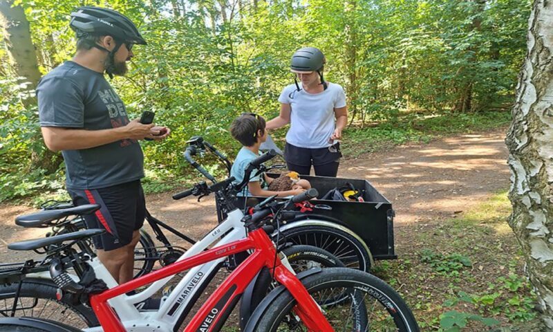 Copenhagen: Private Forgotten Giants E-Bike Treasure Hunt - Authentic Feedback from Past Participants