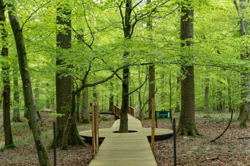 Copenhagen: The Forest Tower & Forgotten Giants Trolls Trip - The Sum Up