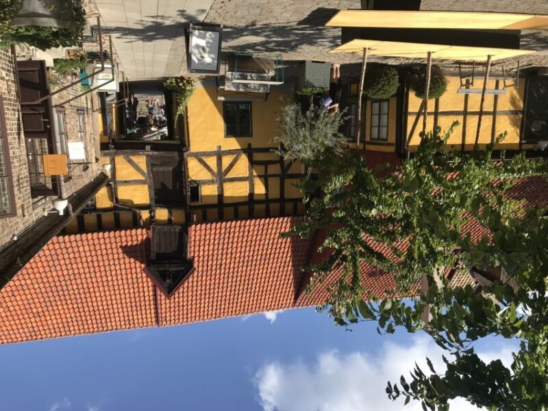 Copenhagen: Tour Across the Øresund Bridge to Lund and Malmö - Transportation and Group Dynamics