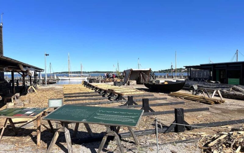 Copenhagen: Tour of Roskilde, the Viking city in Spanish with tickets - The Experience of a Lifetime for History and Family Fans