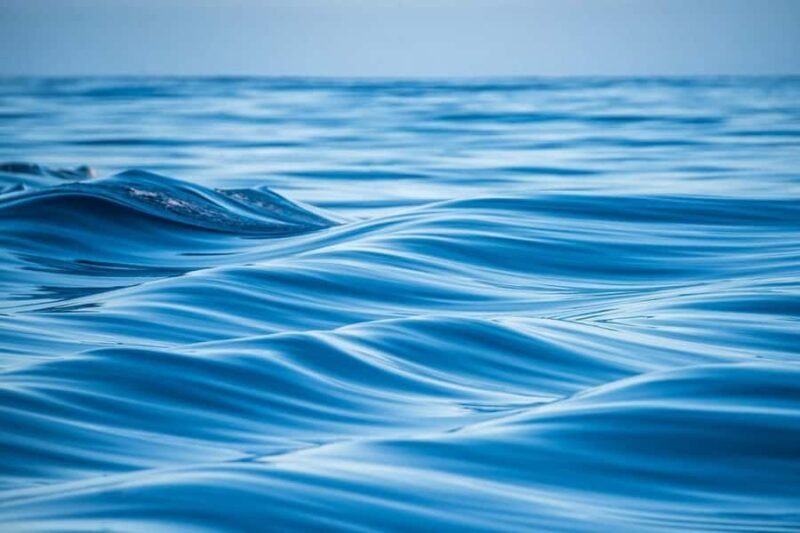 Coral Bay: Half Day Ningaloo Reef Adventure with Manta Rays - An Introduction to the Experience