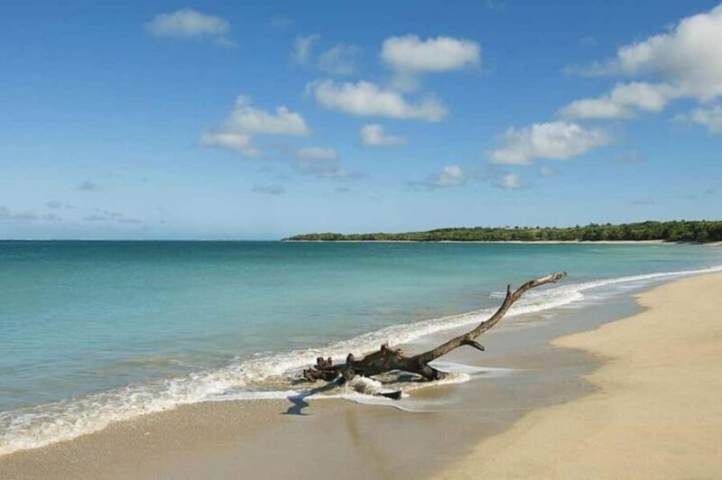 Coral Coast Adventure: Biausevu Waterfall & Natadola Beach - Frequently Asked Questions  