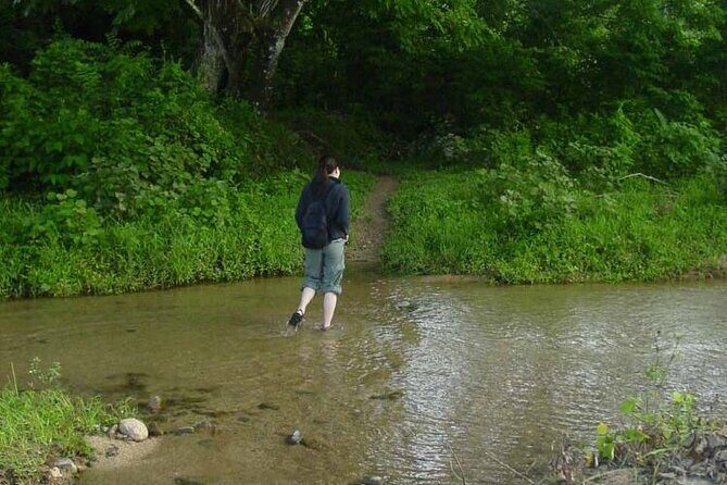 ''Coral Coast Adventure: Biausevu Waterfall & Natadola Beach !'' - Who Will Love This Tour?