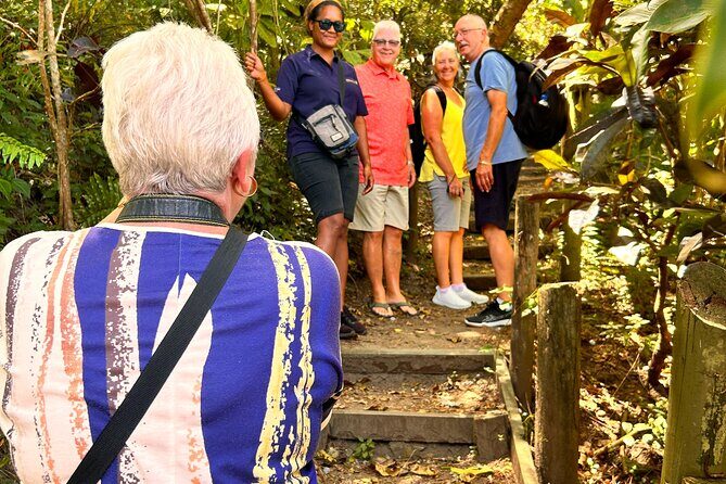 Coral Coast Heritage Tour - An In-Depth Look at the Coral Coast Heritage Tour
