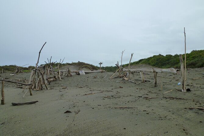 Coral Coast Tour Sand Dune to Momi Gunsite History Walk - FAQ
