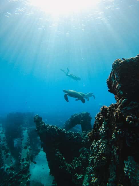 Coral Gardens Coastal Snorkel & Sail - Practical Details and Tips