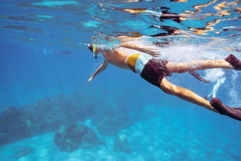 Coral Gardens Coastal Snorkel & Sail - FAQ