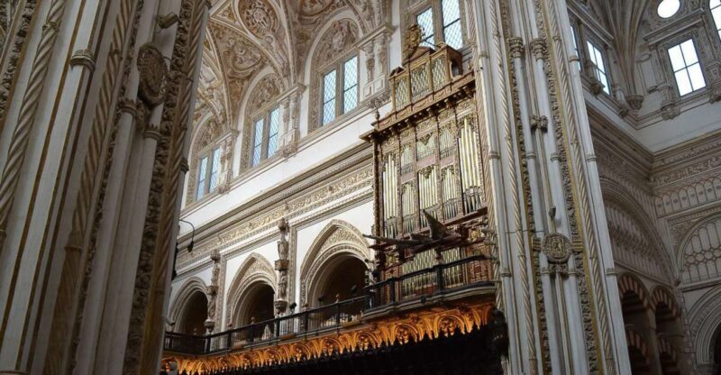 Cordoba: 3-Hour Private Tour - A Closer Look at the Tour Experience