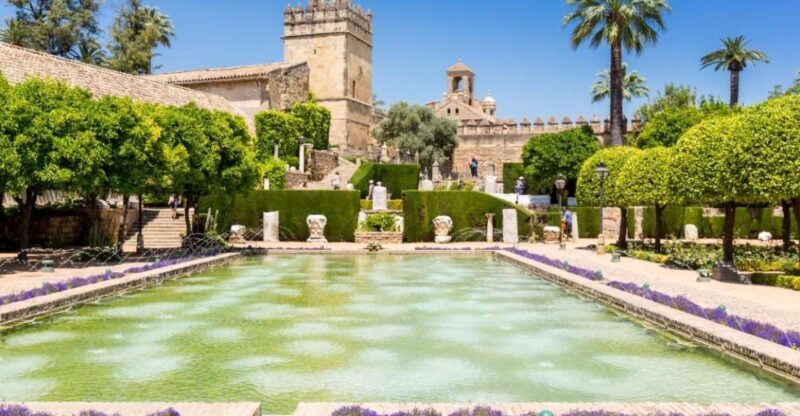Cordoba: Alcazar of Christian Monarchs 1Hour Guided Tour - What You Can Expect from the Tour