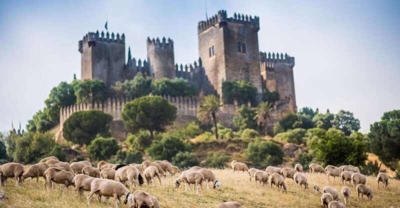 Córdoba: Almódovar Castle Entrance Ticket - Key Points