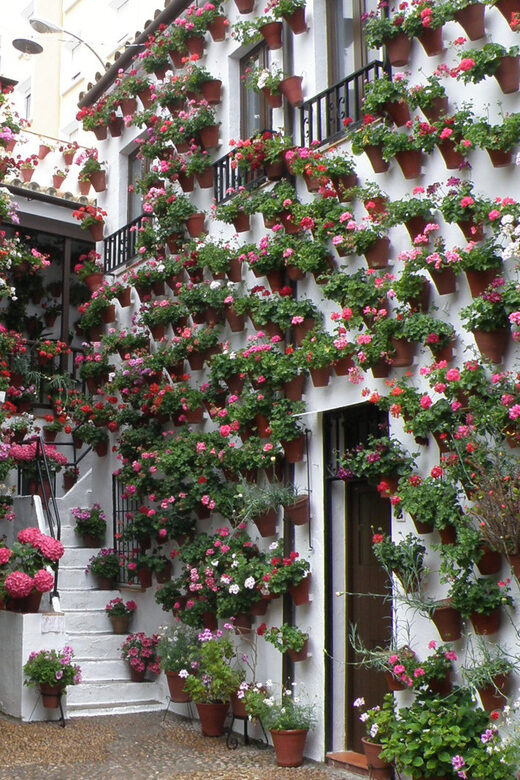 Cordoba Courtyards by Bike, Electric Bike - The Detailed Experience: What You Can Expect