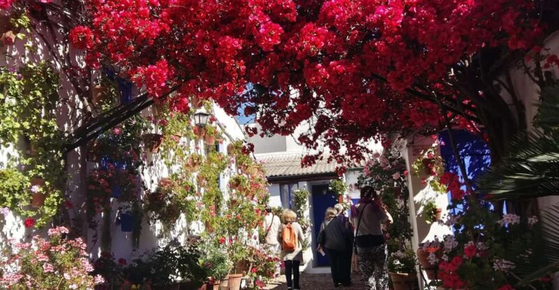 Cordoba Courtyards by Bike, Electric Bike - Who Will Love This Tour?