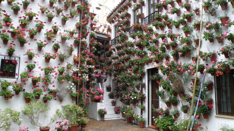 Cordoba Courtyards by Bike, Electric Bike - Final Thoughts