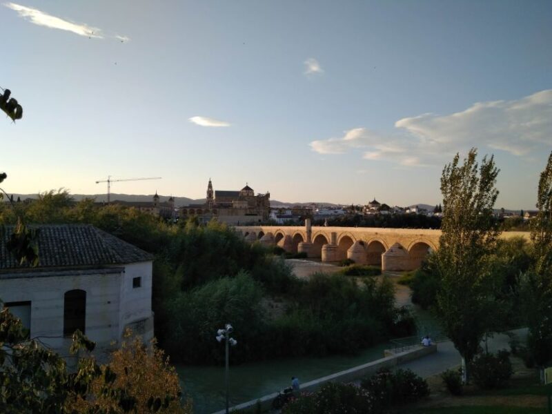 Córdoba Daily Highlights Bike Tour - Key Points