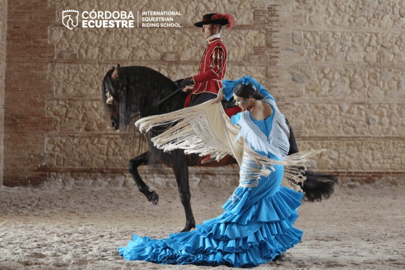 Cordoba: Equestrian Show General Entry - The Venue: The Royal Stables of Córdoba