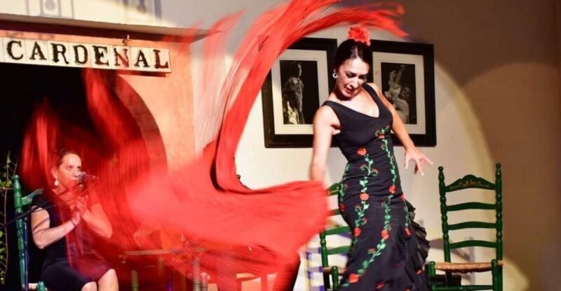 Córdoba: Flamenco Show Ticket with Drinks - The Practical Details That Matter