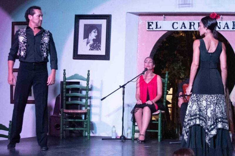 Córdoba: Flamenco Show Ticket with Drinks - Who Will Love This Flamenco Show?