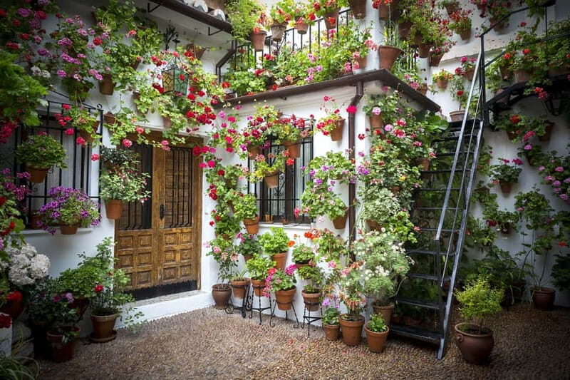 Córdoba: Guided tour in Spanish to the courtyards of Córdoba - Key Points