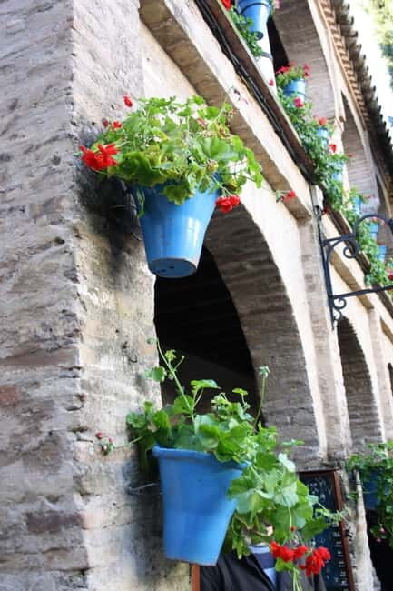 Córdoba: Guided tour in Spanish to the courtyards of Córdoba - Exploring the Córdoba Courtyards: What to Expect