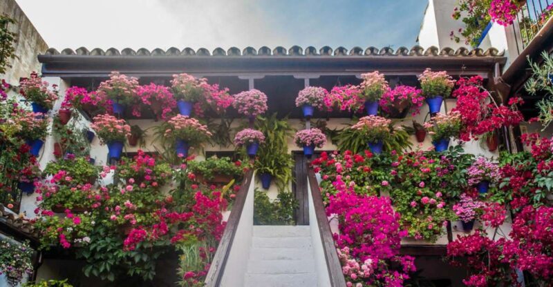 Córdoba: Guided Tour of the Patios - Key Points