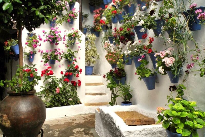 Córdoba: Guided Tour of the Patios - Who Should Consider This Tour?