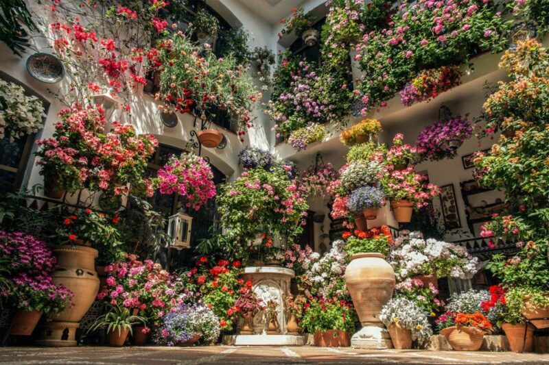 Córdoba: Guided Tour of the Patios - The Sum Up