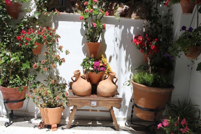 Cordoba Highlights Full-Day Tour from Granada - Is It Worth the Price?