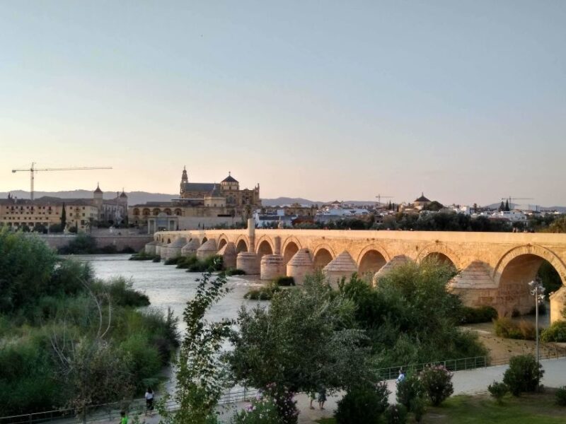 Córdoba Highlights Walking Tour - What to Expect During the Tour