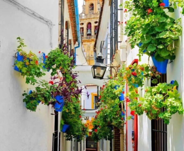 Cordoba: Historical Monuments of Cordoba City Walking Tour - Why Choose This Tour?