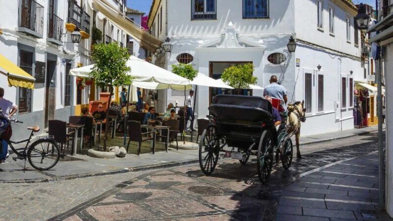 Cordoba: Historical Monuments of Cordoba City Walking Tour - Final Verdict
