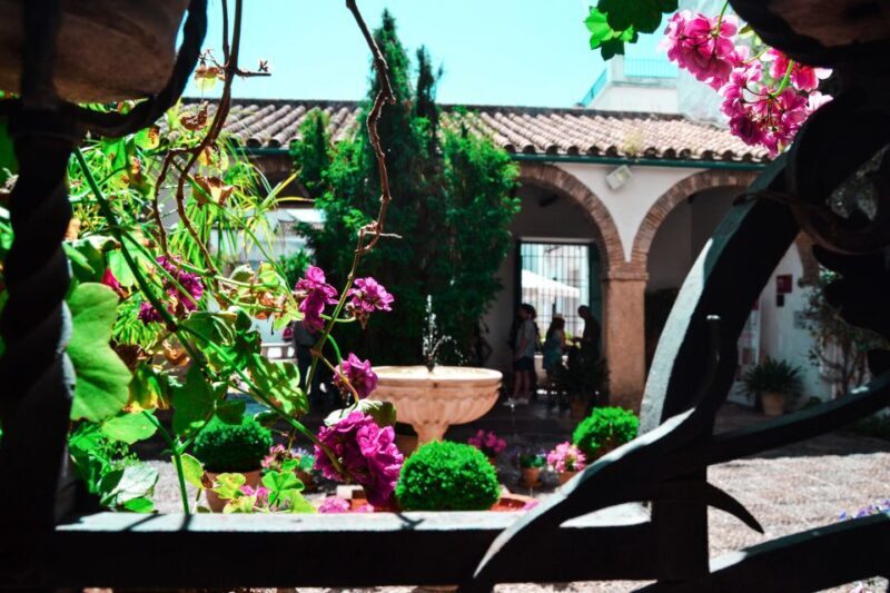 Cordoba: Patios and Viana Palace Tour - An In-Depth Look at the Córdoba: Patios and Viana Palace Tour