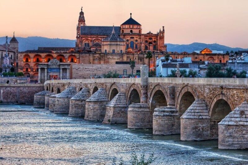 Cordoba : Patios Private Walking Tour - An In-Depth Look at the Patios Walking Tour
