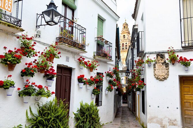 Cordoba Private Daytrip From Sevilla - A Closer Look at the Itinerary