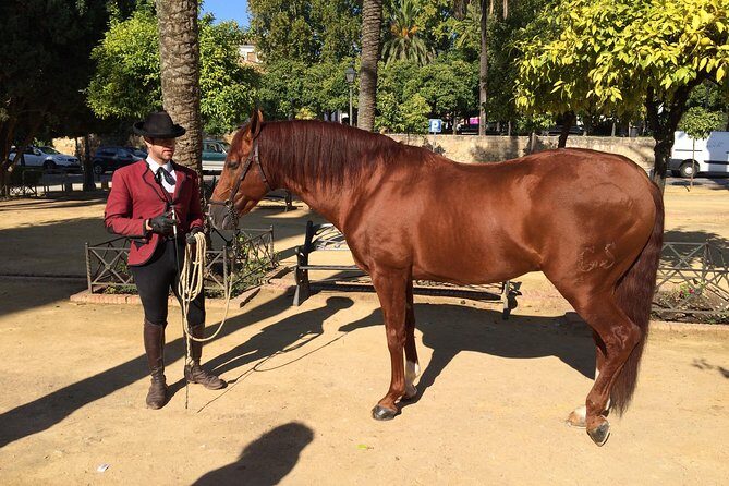 Cordoba Private Tour with Mosque Entrance from Seville - The Sum Up: Who Is This Tour Perfect For?